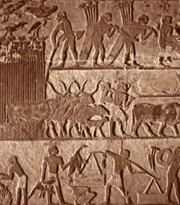 Agriculture and Economy of Indus Valley Civilisation - OwnTV